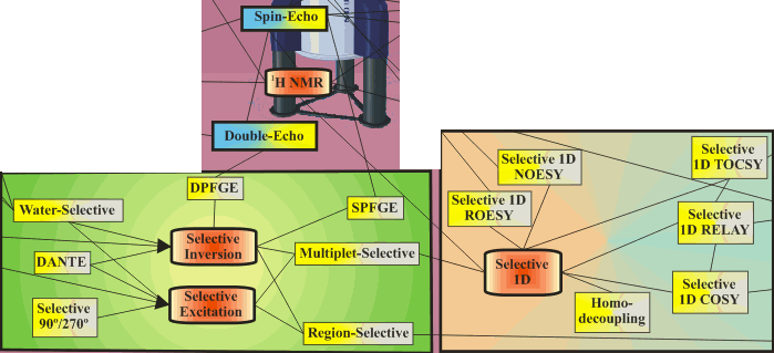 Selective Excitation NMR Map